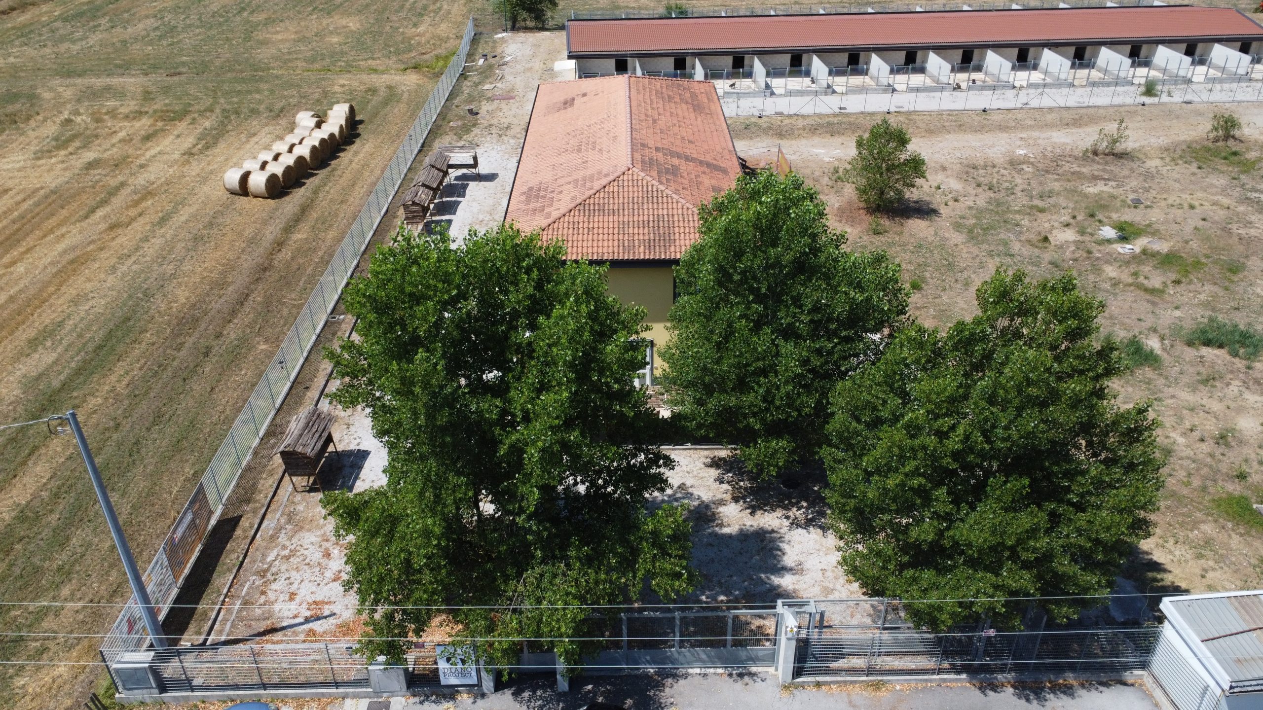 Summer Dog Parco Canile Diano Project, evento rinviato